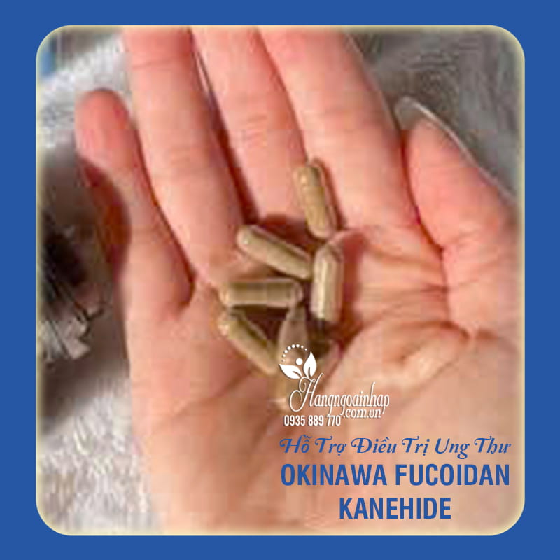 Tảo nâu Fucoidan Okinawa Kanehide Bio 180 viên Nhật Bản